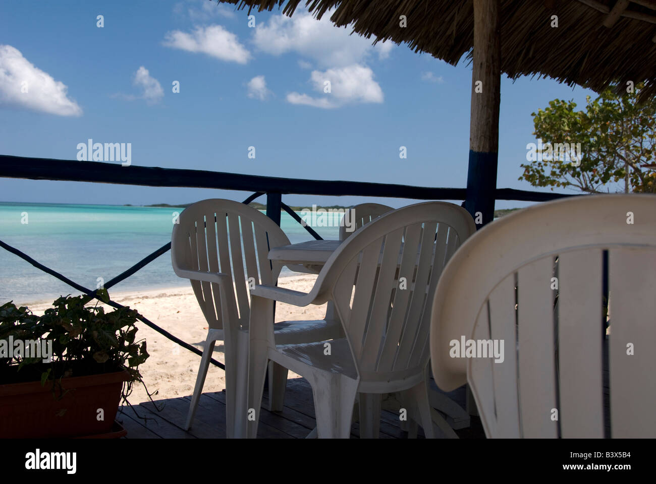 cafe on the beach Stock Photo - Alamy