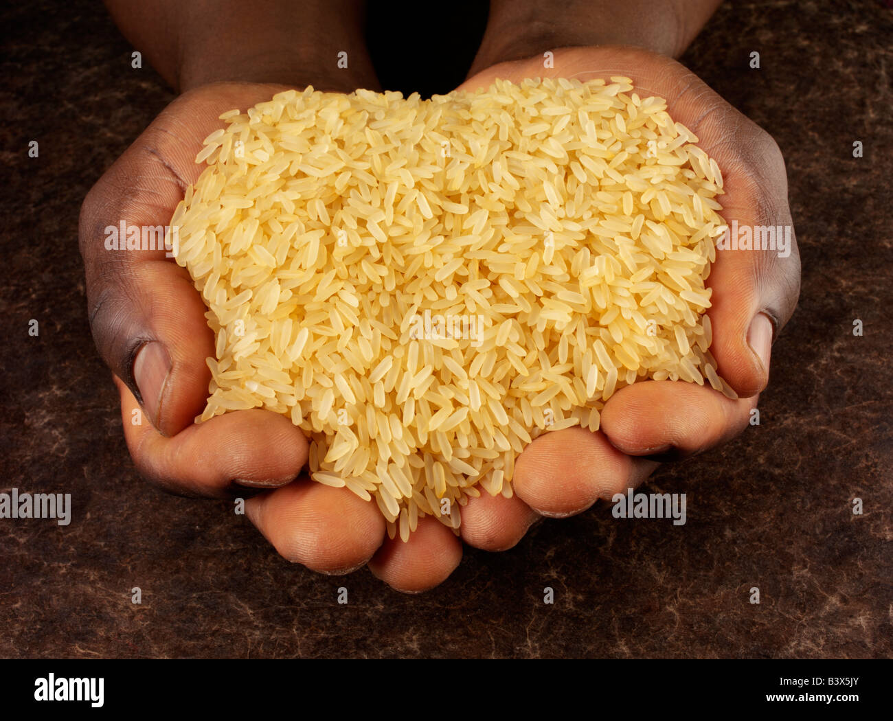 MAN HOLDING LONG GRAIN RICE Stock Photo - Alamy