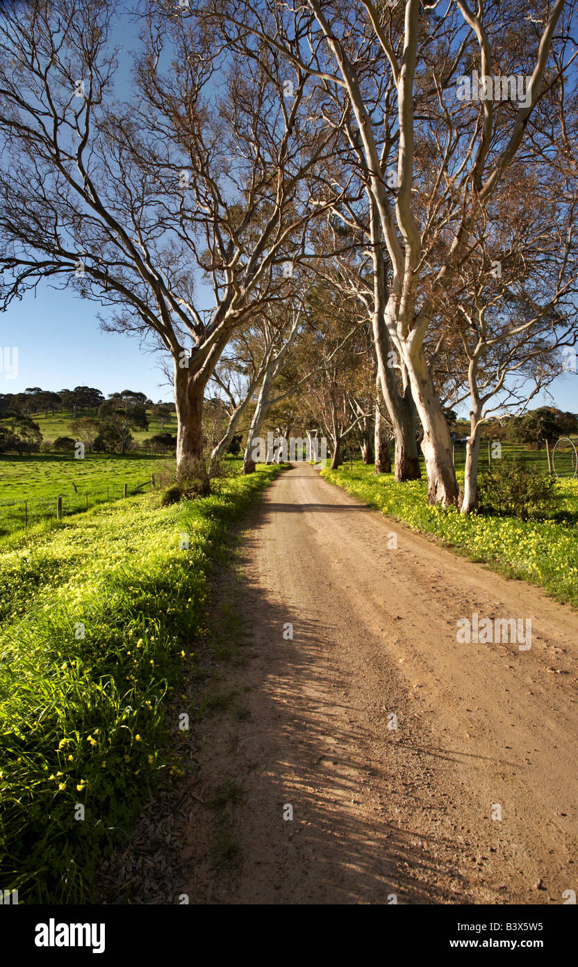 Country track hi-res stock photography and images - Alamy