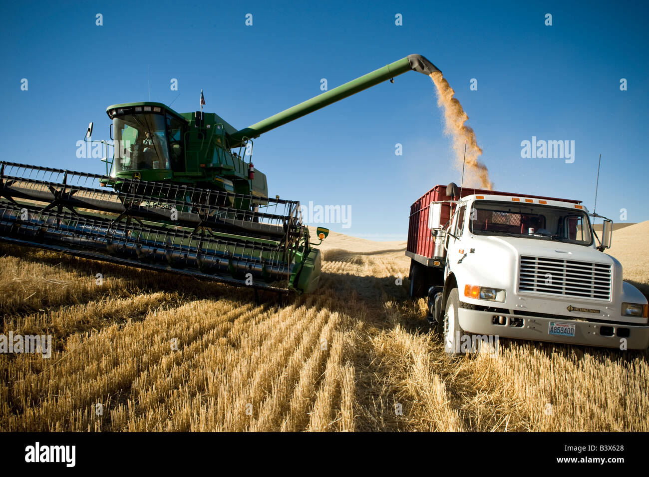 Wheat Harvest in Palouse, Washington, USA Stock Photo - Alamy