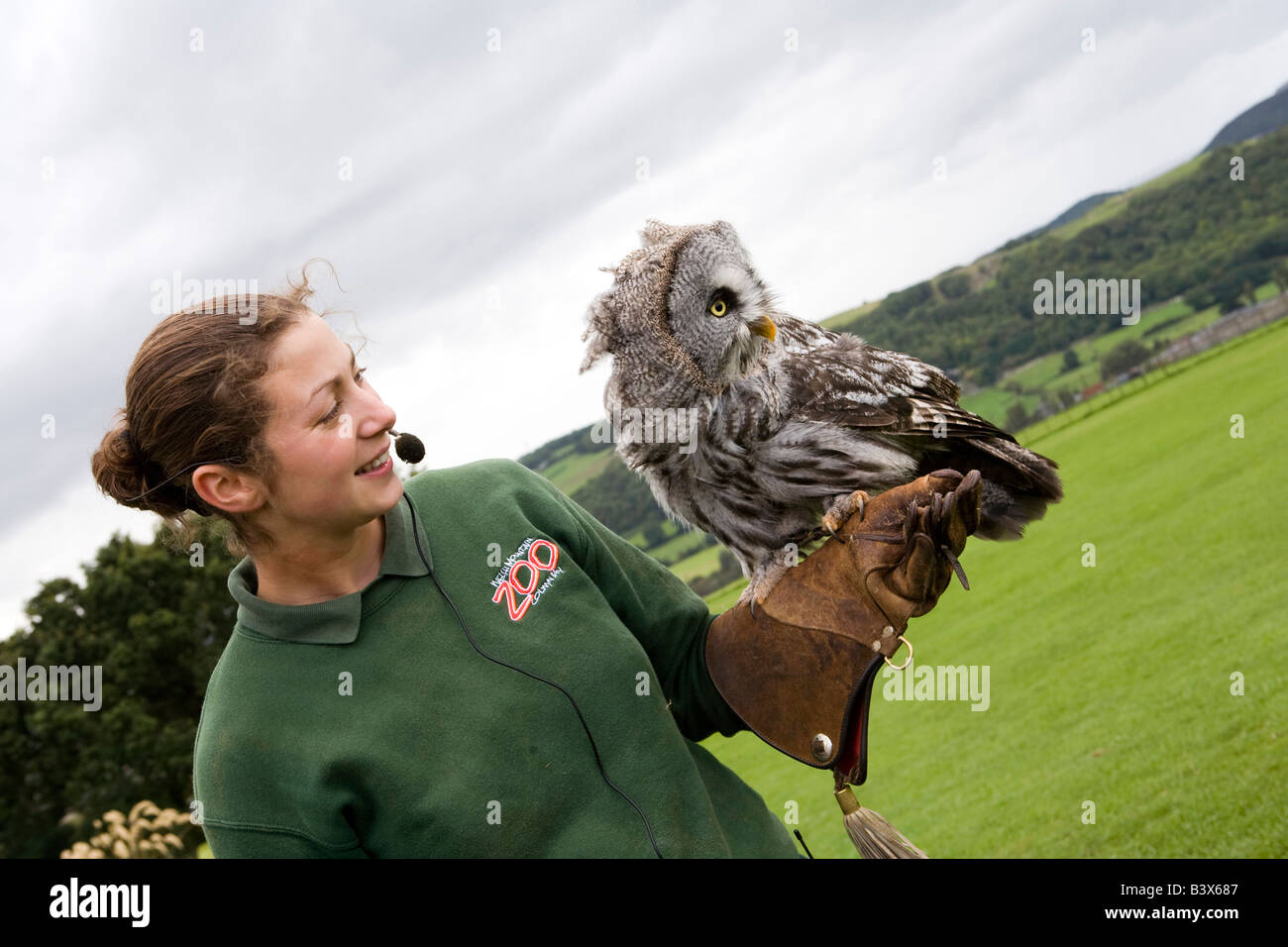 UK Wales Clwyd Colwyn Bay Welsh Mountain Zoo Keeper Zoe Sweetman ...