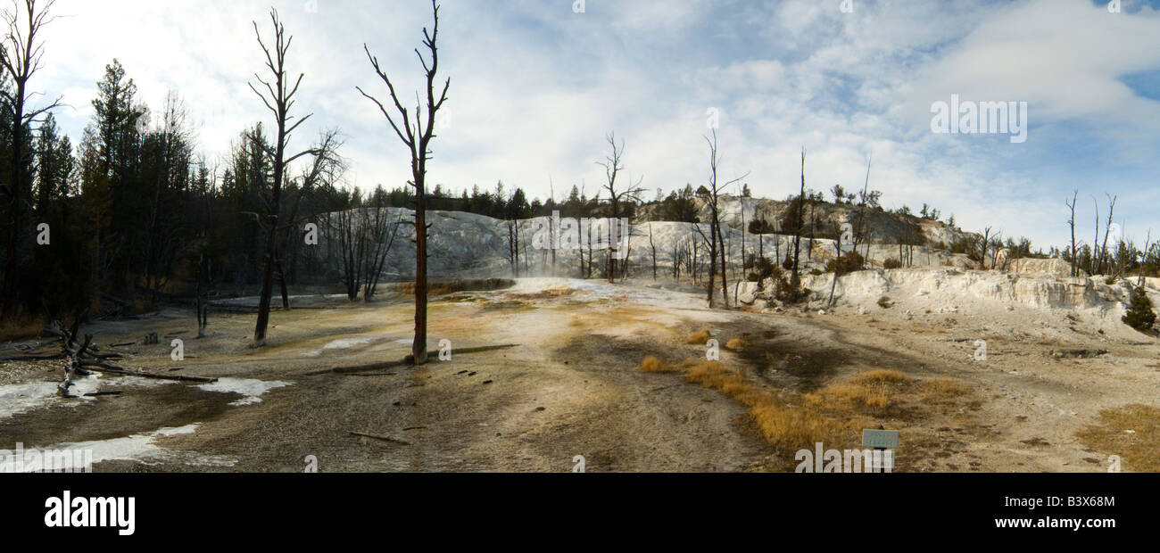 Panoramic view of the Petrified forest in Yellowstone National Park ...