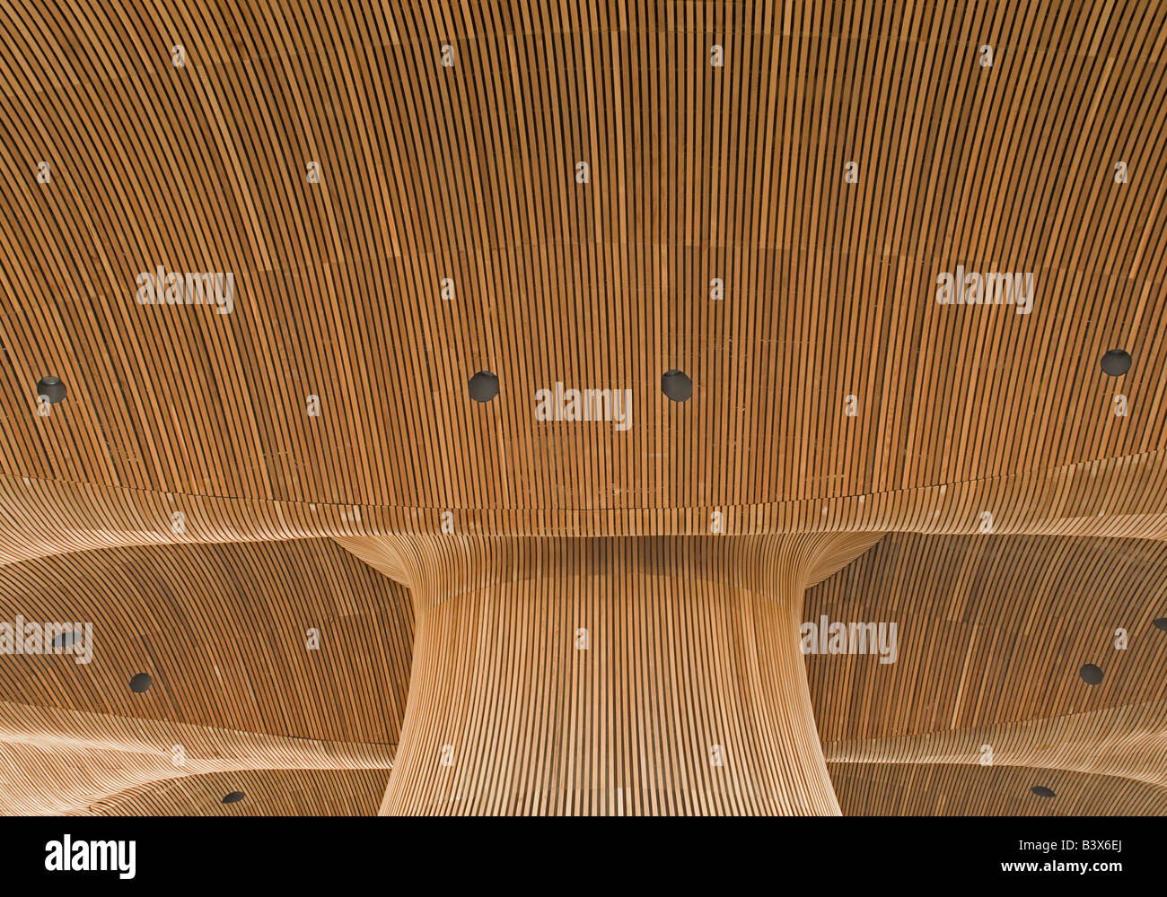 The wooden ceiling in the new Welsh Assembly Government Senedd building ...