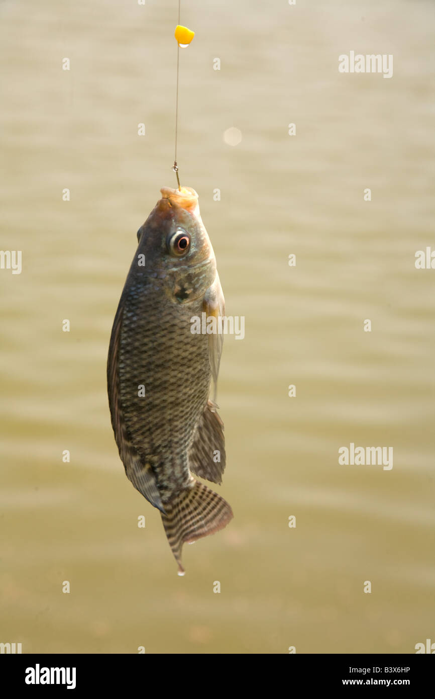 Zambia fishing hi-res stock photography and images - Alamy