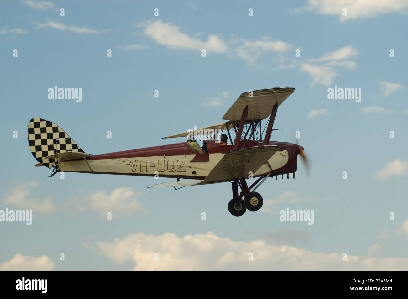 tiger moth flying Stock Photo - Alamy