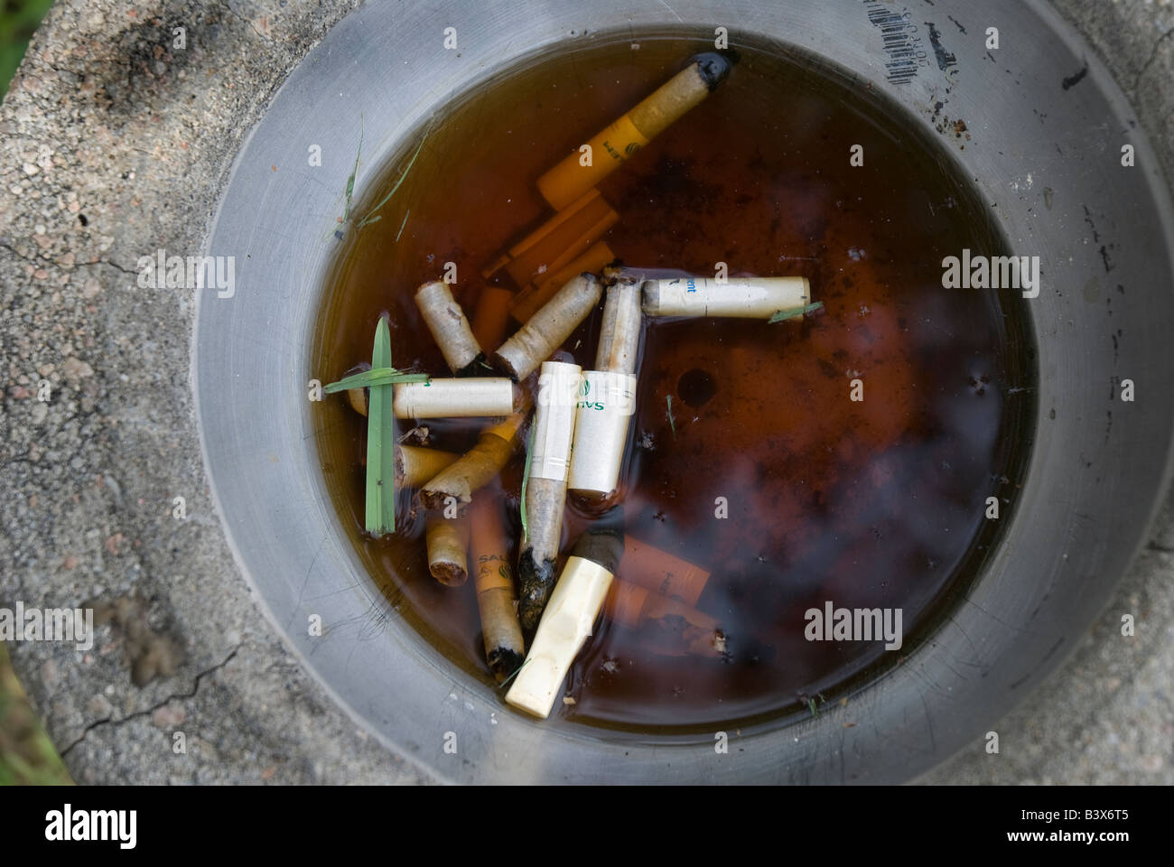 discarded cigarette butts in water filled receptacle Stock Photo - Alamy