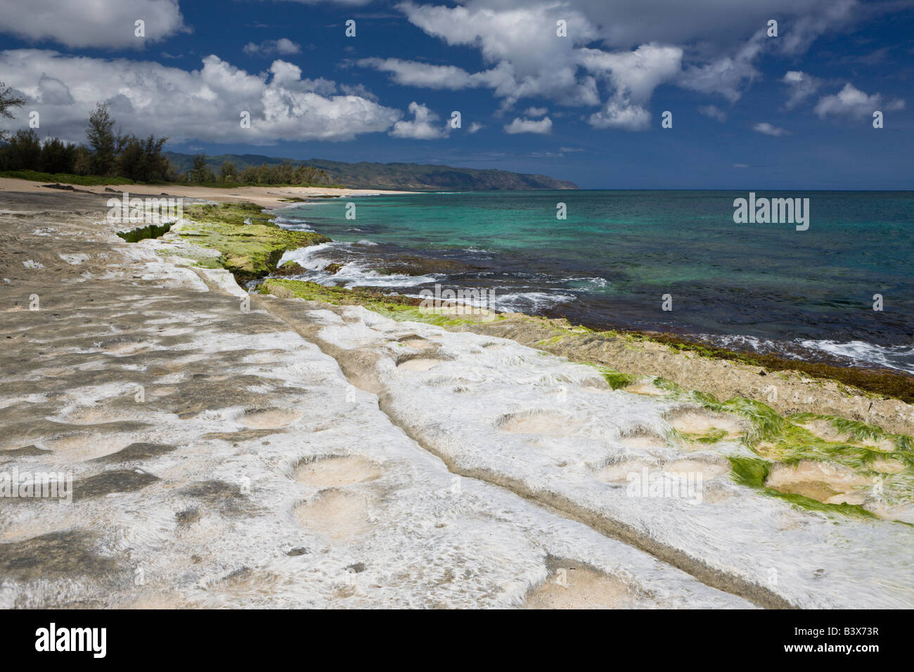 Haleiwa Beach Park Oahu Pacific Ocean Hawaii USA Stock Photo - Alamy