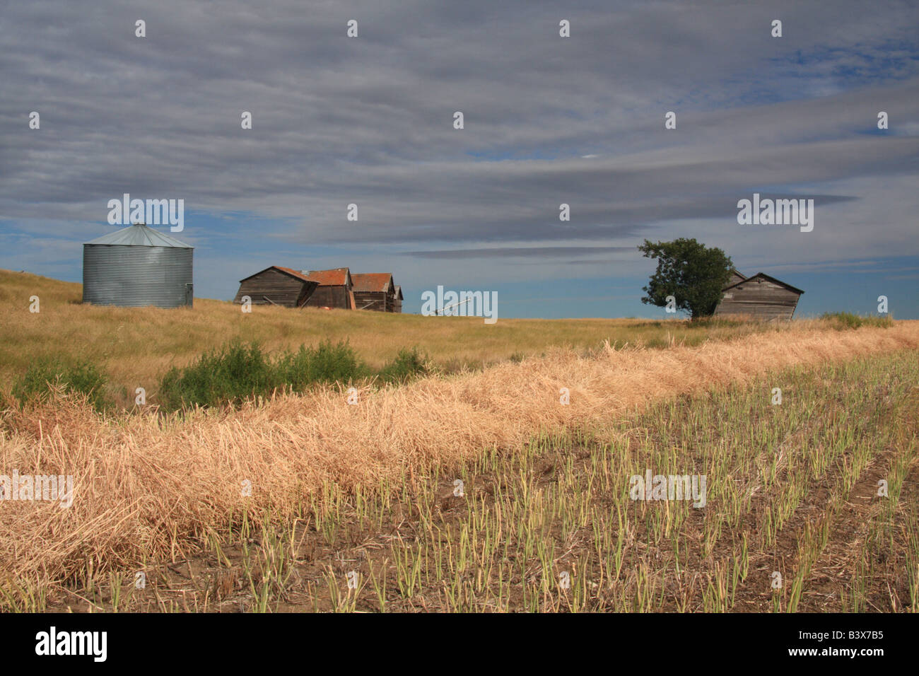 Abandoned farm houses hi-res stock photography and images - Alamy