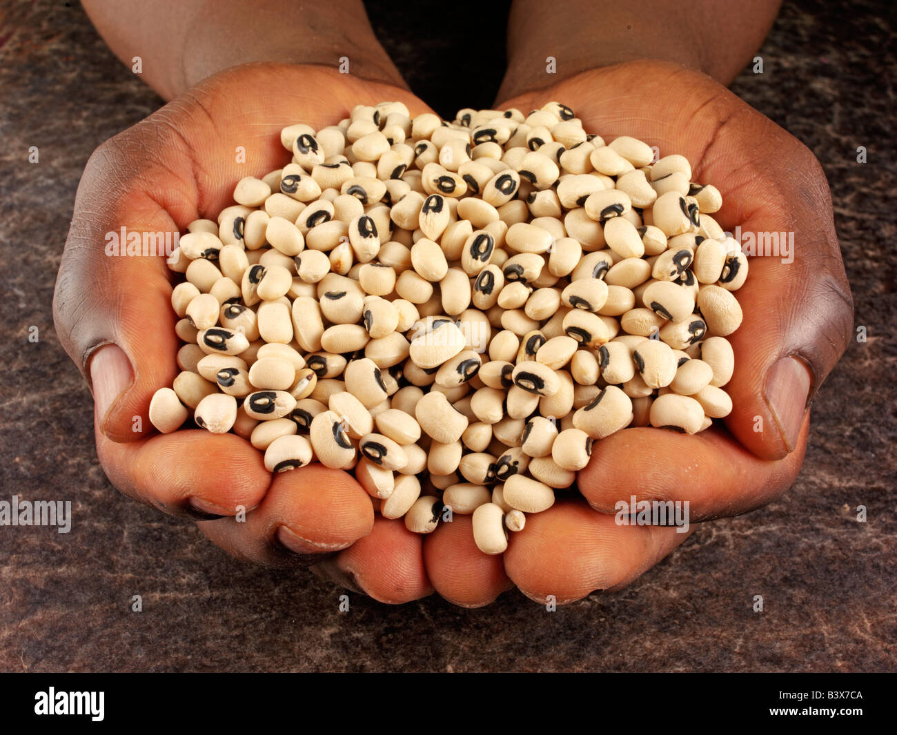 MAN'S HANDS HOLDING BLACK EYED BEANS Stock Photo - Alamy
