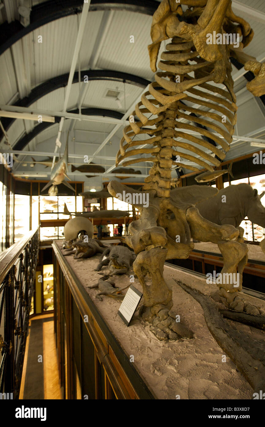 Displays at a museum Stock Photo - Alamy
