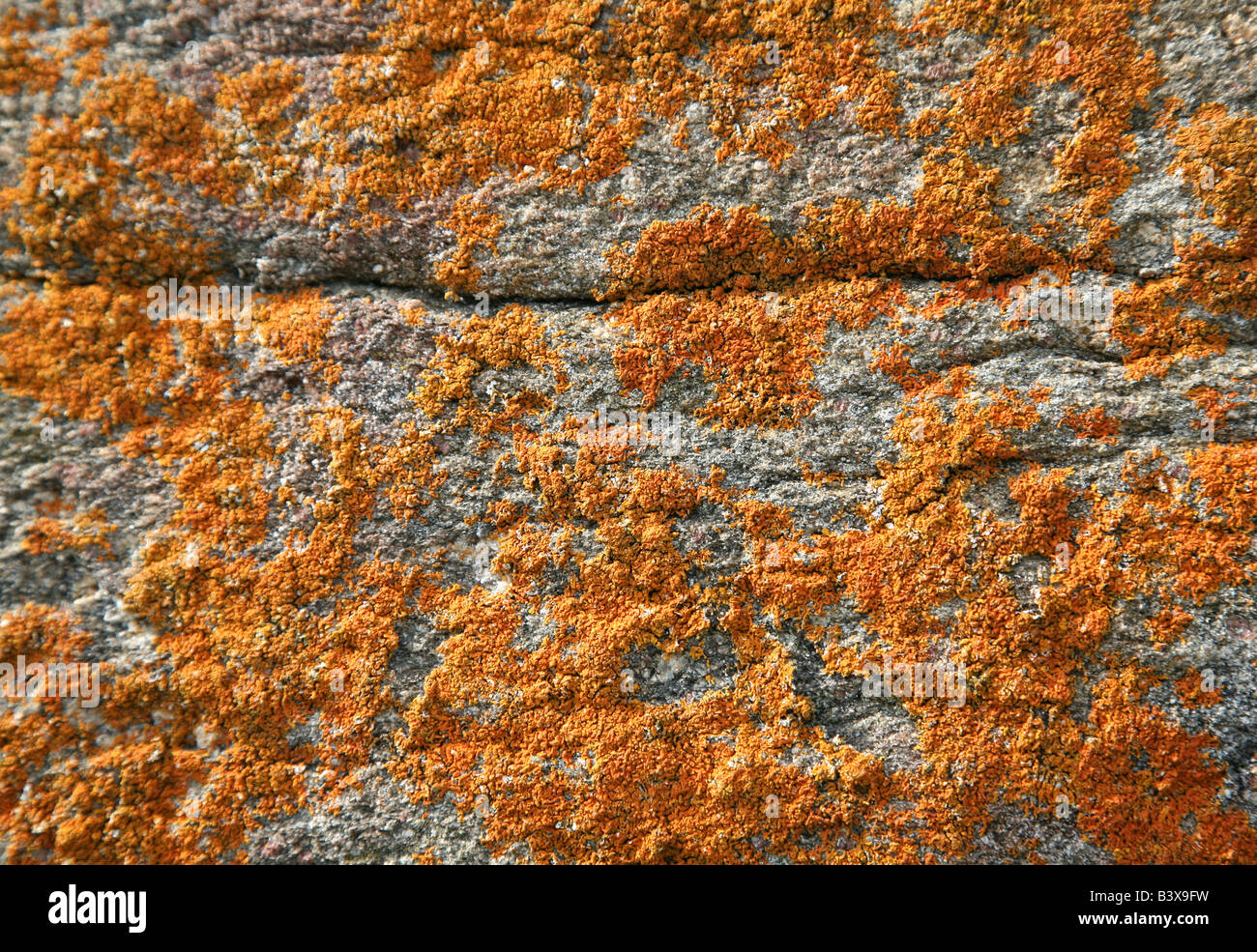 Boulder wall of the Solovetsky Monastery on the Solovetsky Islands in ...