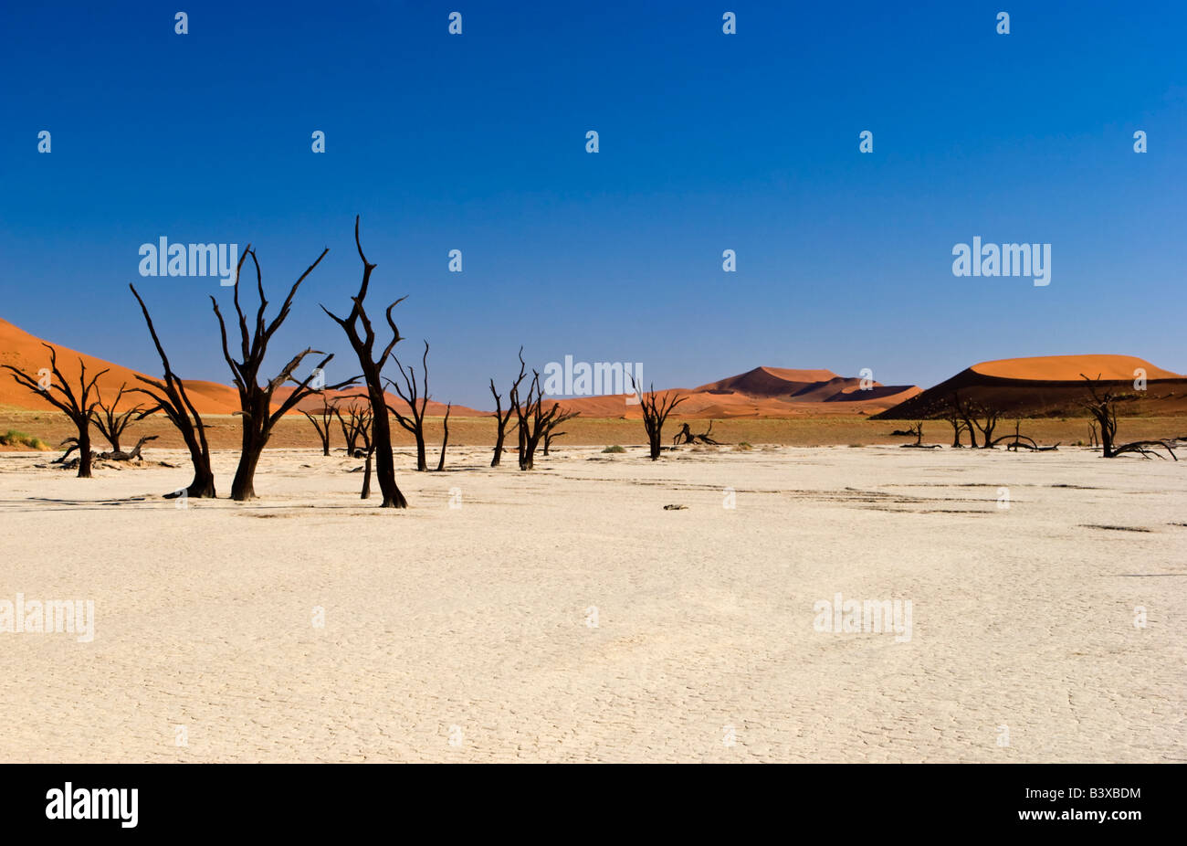 Deadvlei in the Namib-Naukluft National Park, Namibia Stock Photo - Alamy