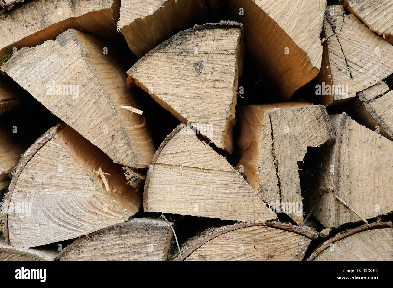 Log pile end on Stock Photo - Alamy