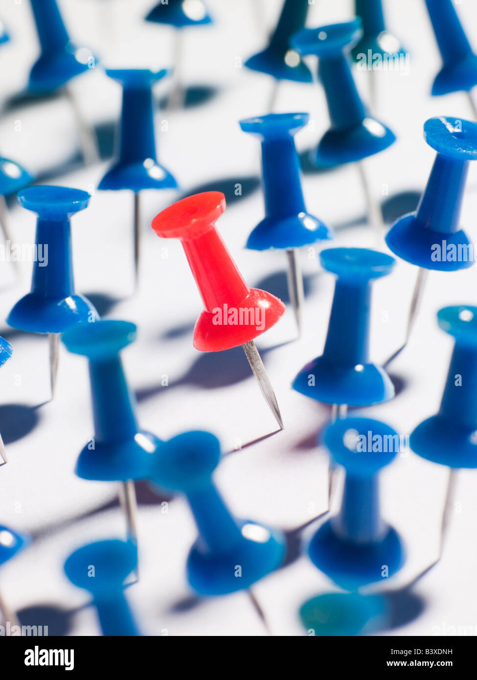 One Red Thumbtack Amid Blue Thumbtacks Stock Photo - Alamy