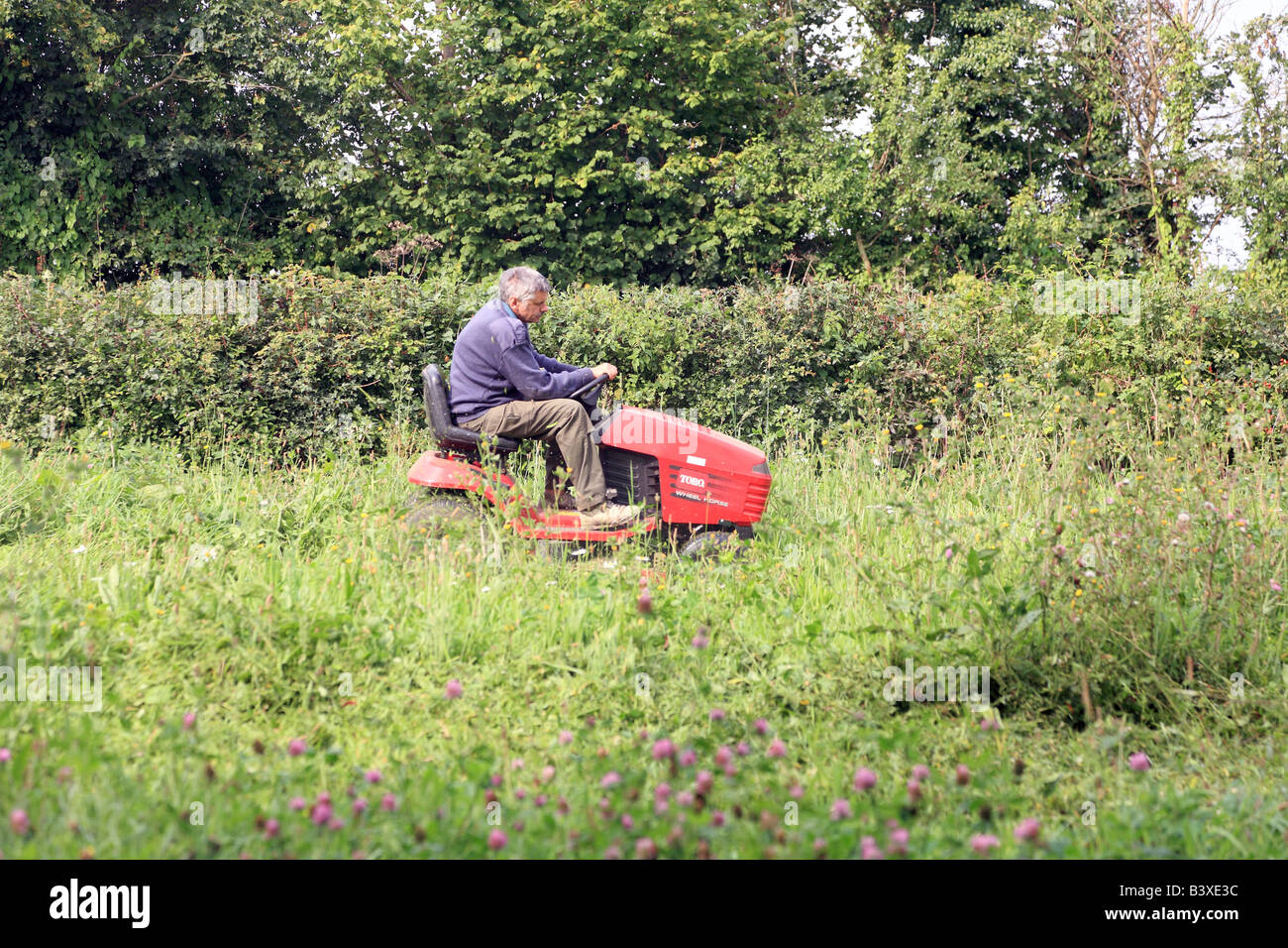 Man mowing a lawn on ride-on mower Stock Photo - Alamy