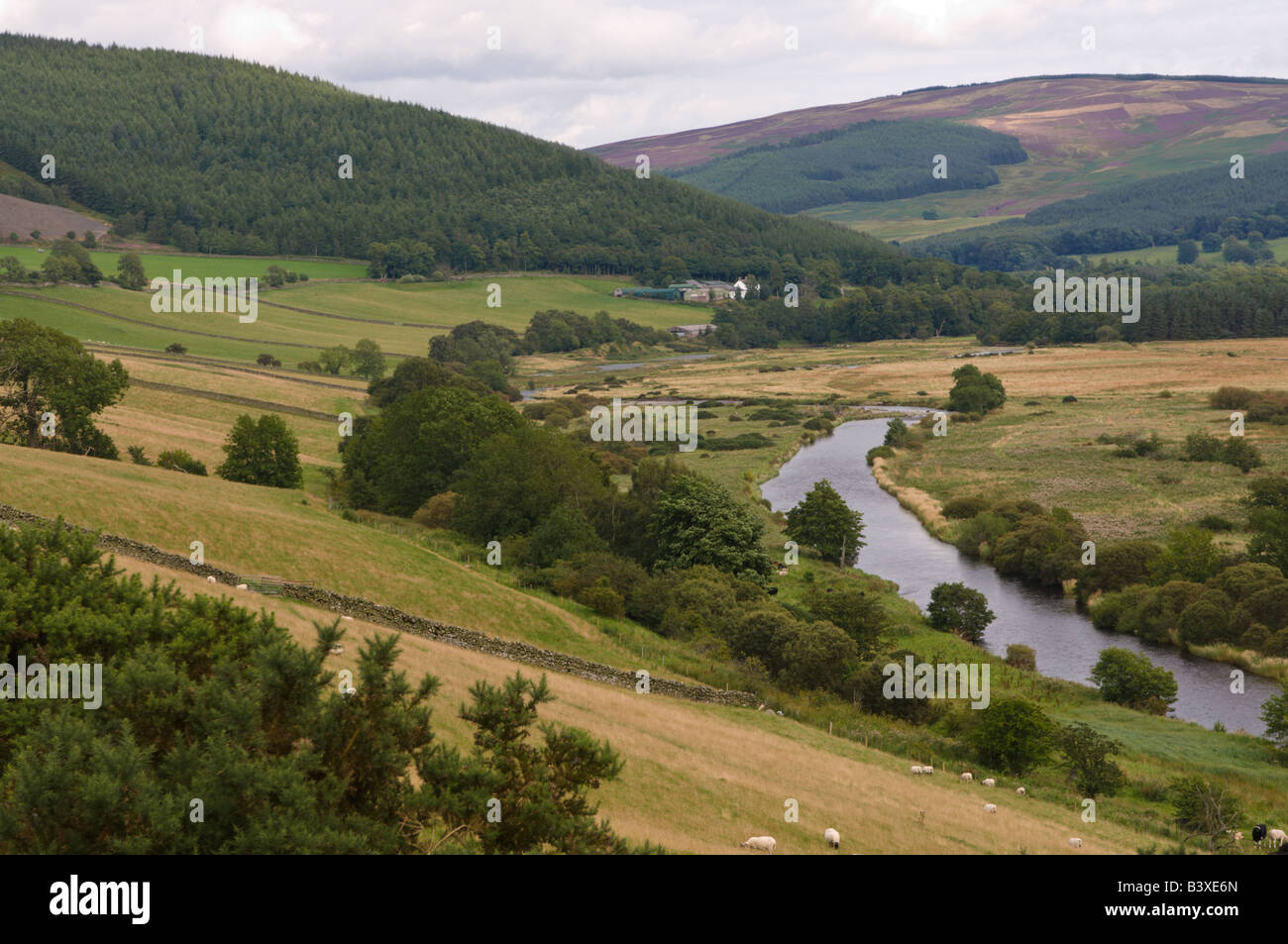 Border hills river tweed hi-res stock photography and images - Alamy