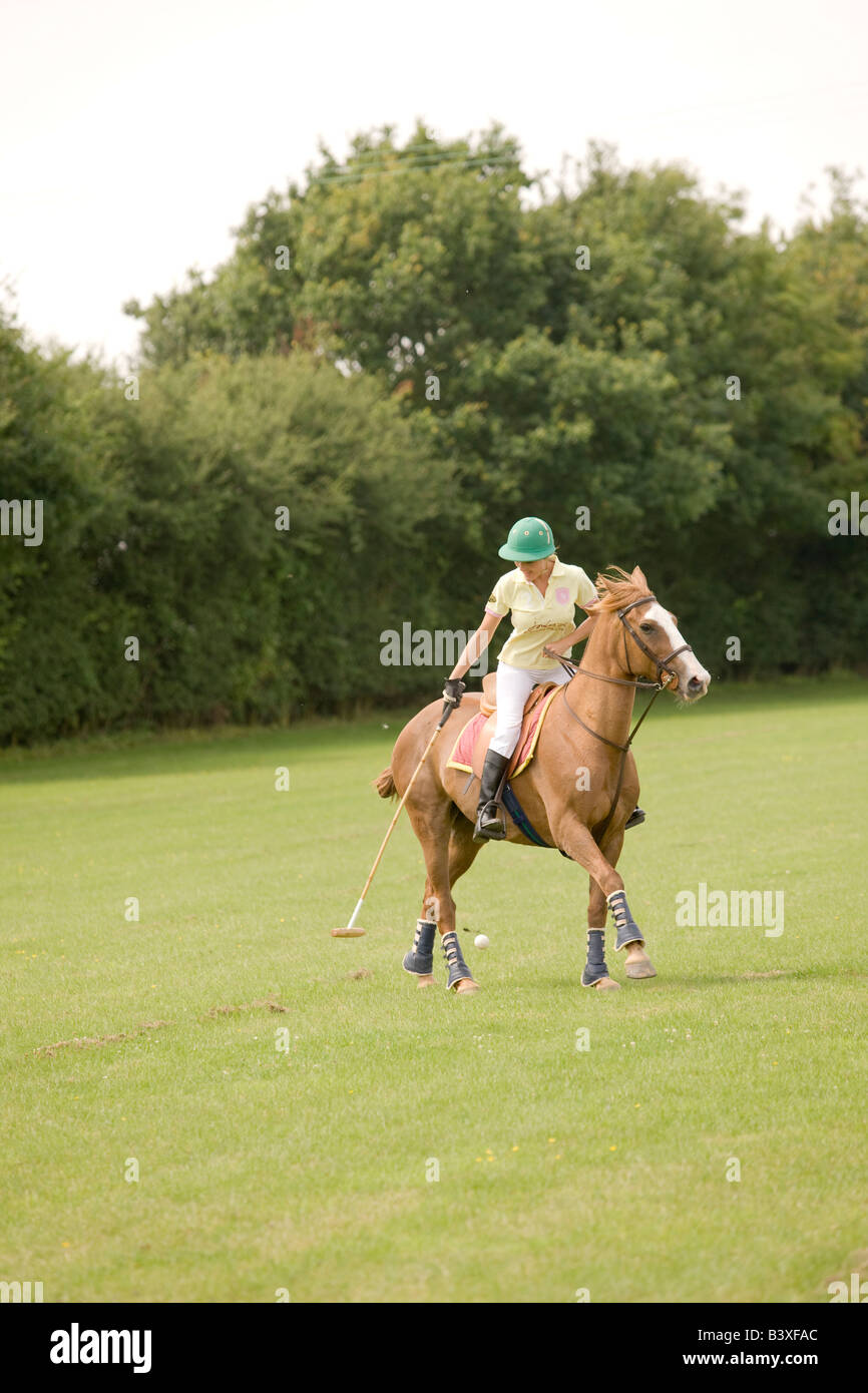 Girl stick horse hi-res stock photography and images - Alamy