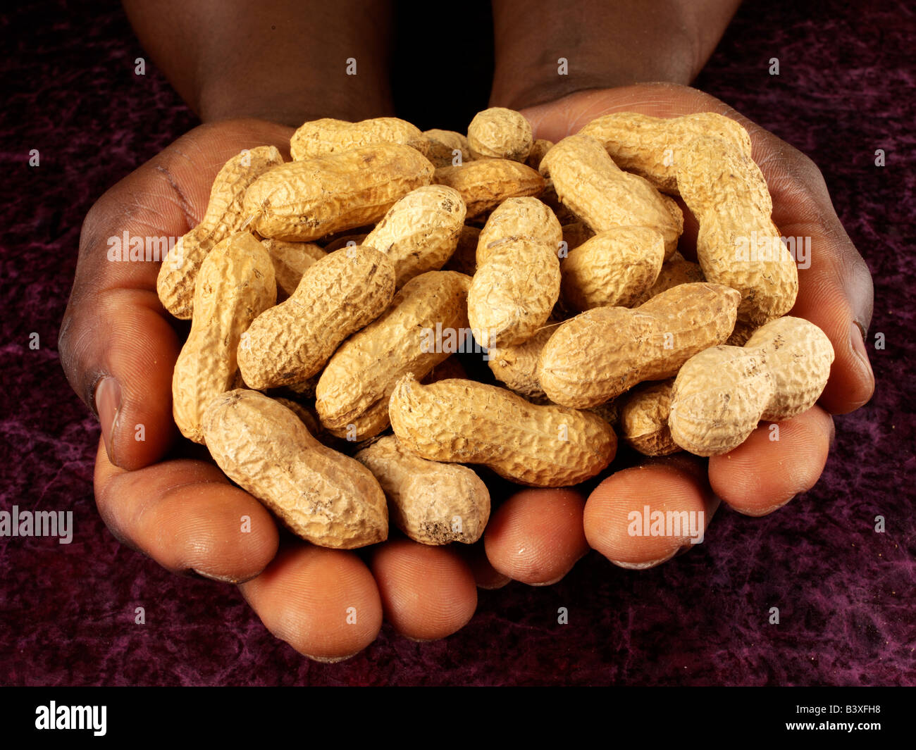 MAN HOLDING PEANUTS IN SHELLS OR MONKEY NUTS Stock Photo - Alamy