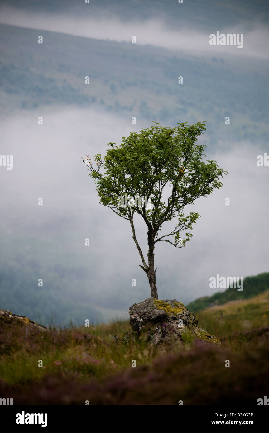 Strathcarron hi-res stock photography and images - Alamy