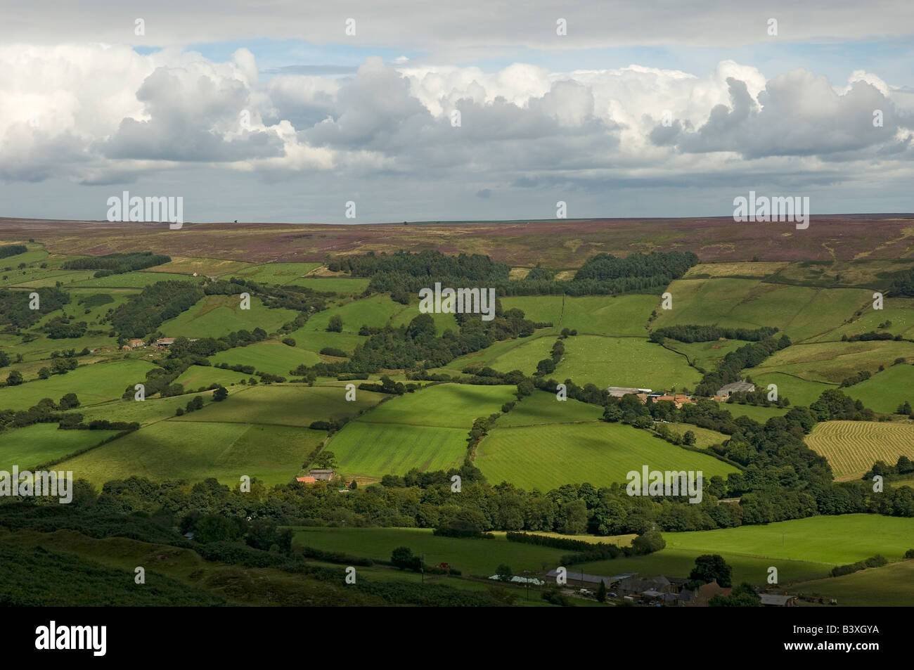 Rosedale in summer North York Moors North Yorkshire England UK United ...