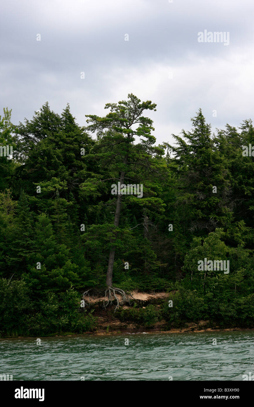 Corrosion hi res hi-res stock photography and images - Alamy