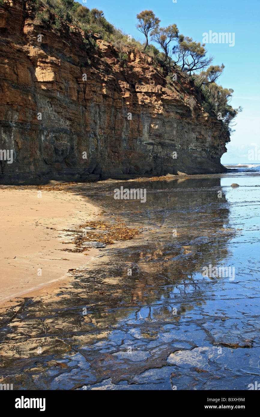 Bush beach cliff hi-res stock photography and images - Alamy