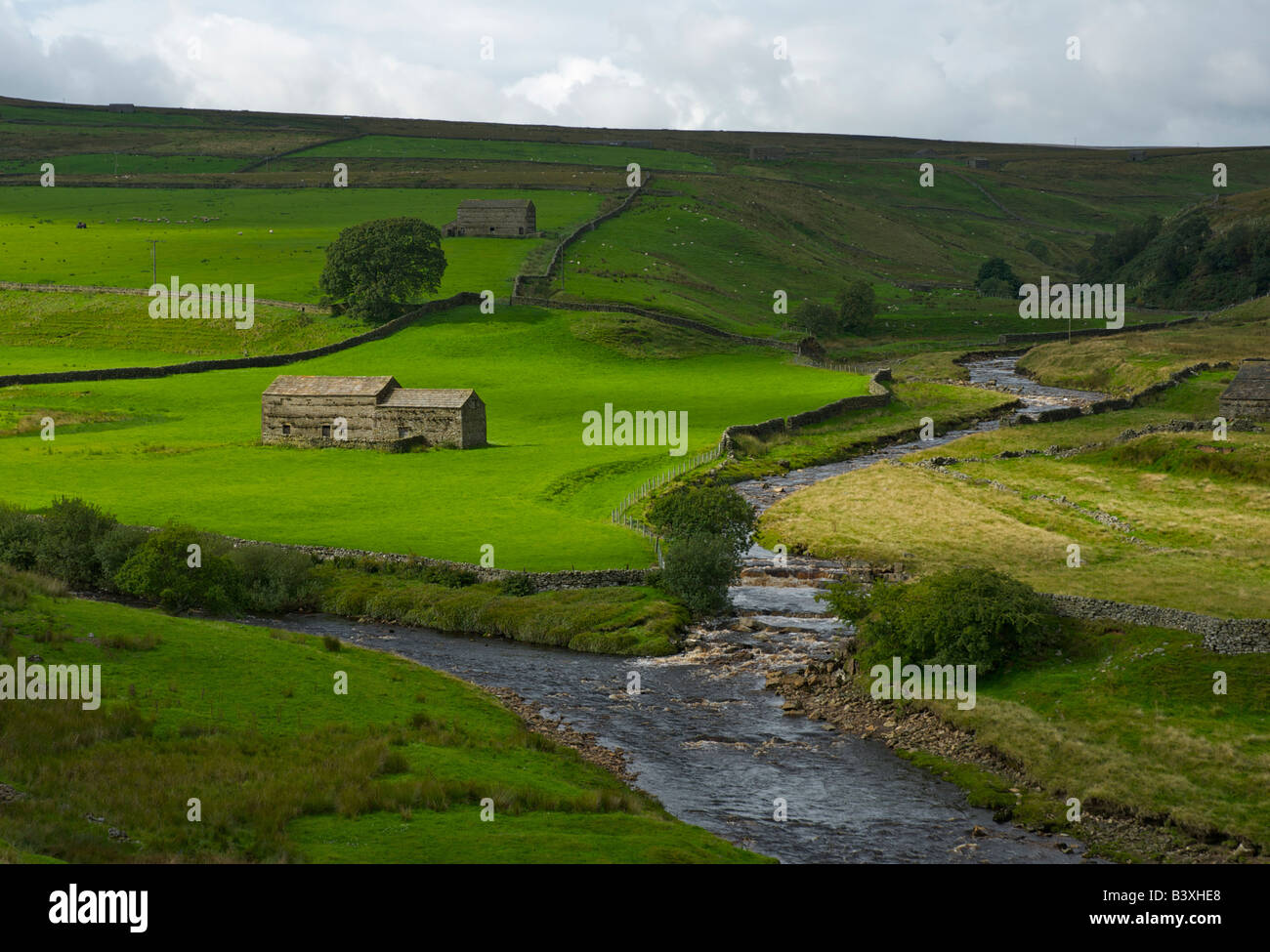 Upper Swaledale near Keld, Yorkshire Dales National Park, England UK ...