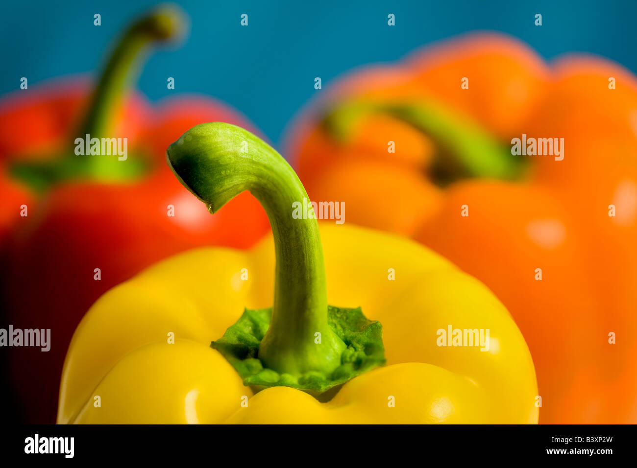 Various colored bell peppers Stock Photo - Alamy