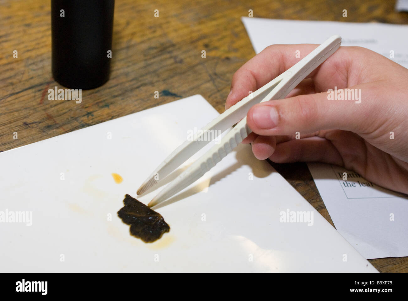 experiment taking place in a school classroom during a science lesson ...