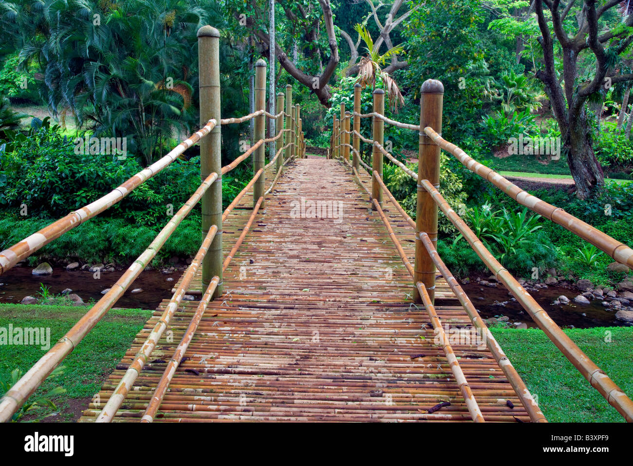 Bamboo Bridge For The Garden