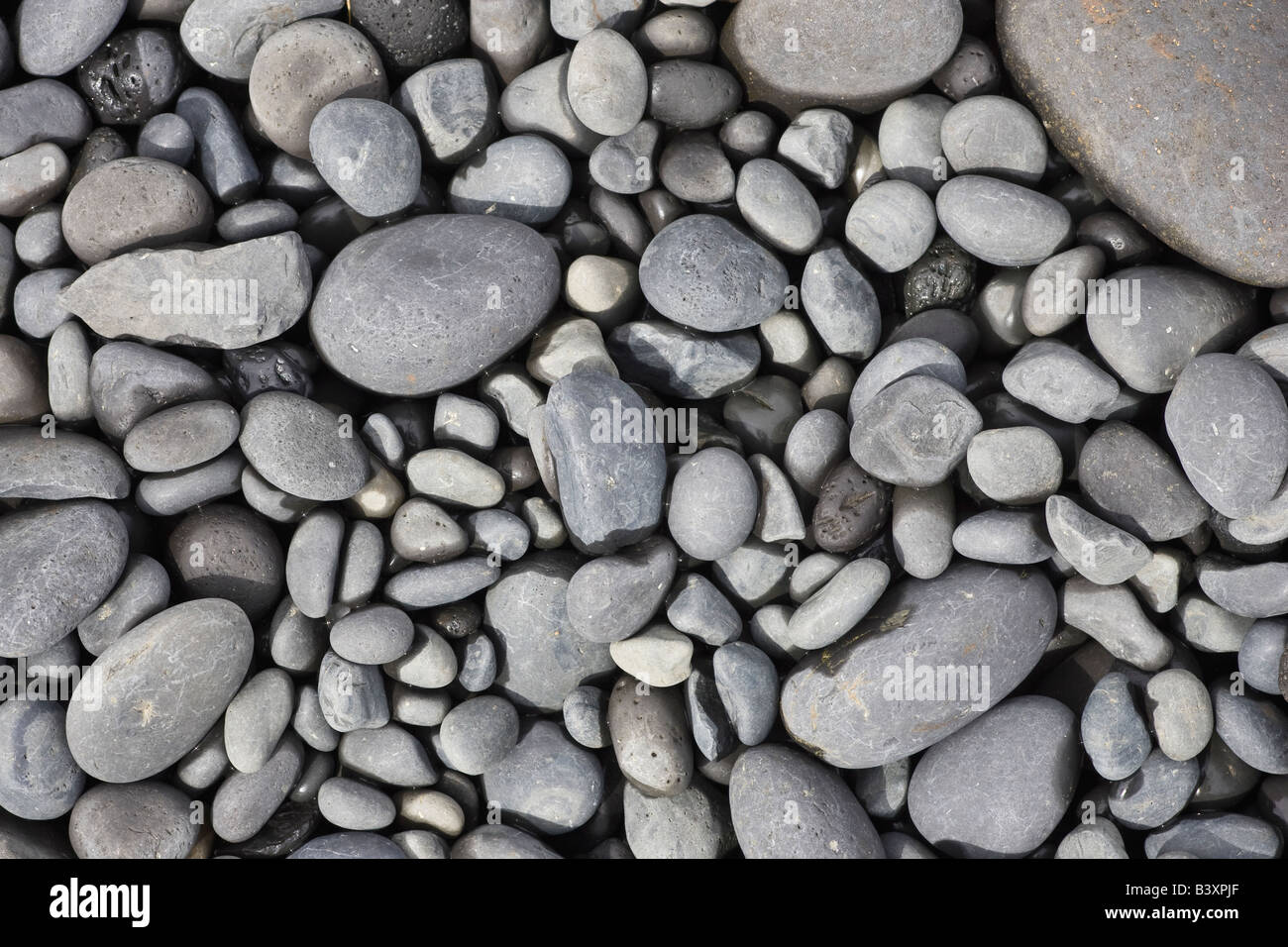 Dark grey volcanic pebbles on beach in Iceland Stock Photo - Alamy
