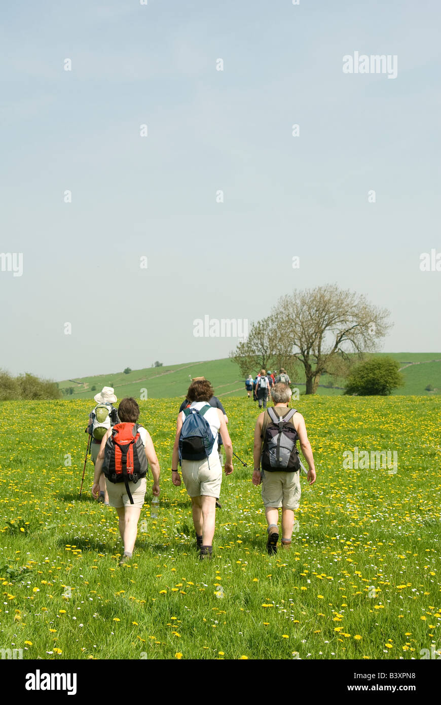 Group of walkers walking through a field in the beautiful derbyshire ...