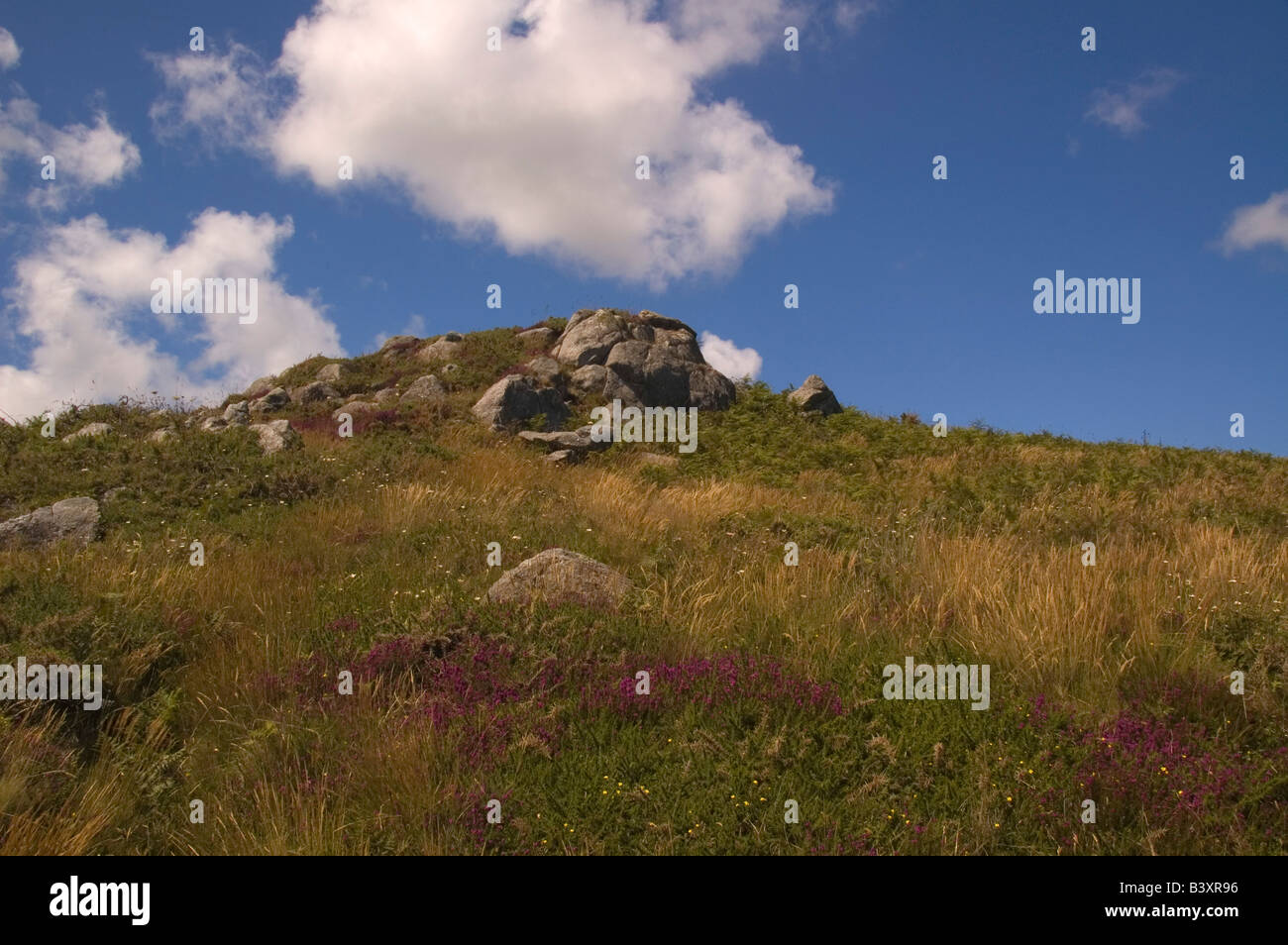 Lowland Point Coverack Lizard Peninsula Cornwall England UK Stock Photo ...
