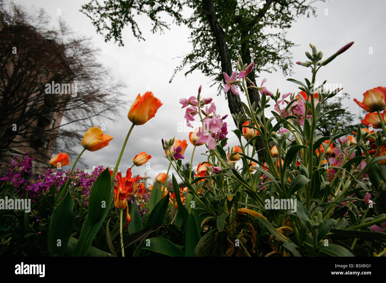 British columbia spring blooms hi-res stock photography and images - Alamy