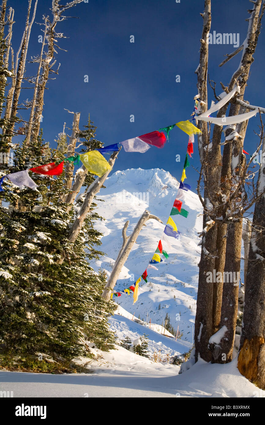 Flags tied around trees at Mount Hood, Oregon, USA Stock Photo - Alamy
