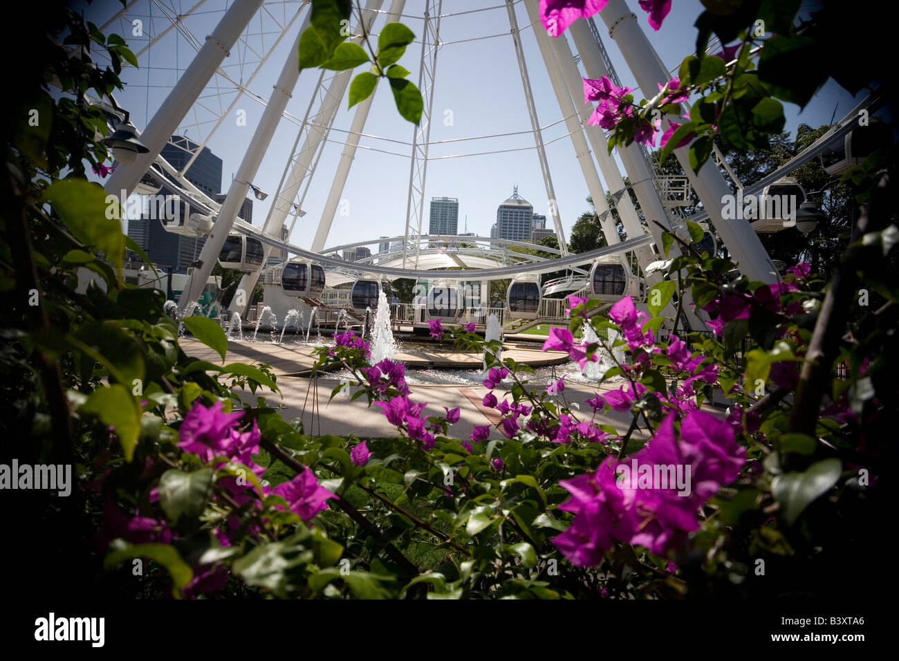 The Wheel of Brisbane, South Bank, Brisbane, Australia Stock Photo - Alamy