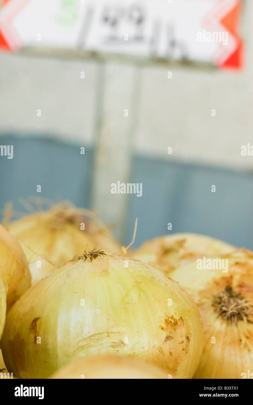 Onions on sale at a farmers market Stock Photo - Alamy