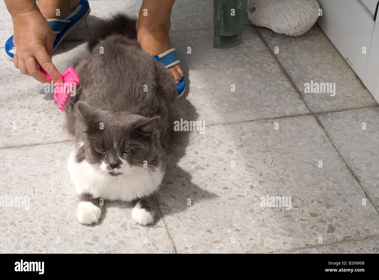 Loving animals hi-res stock photography and images - Alamy