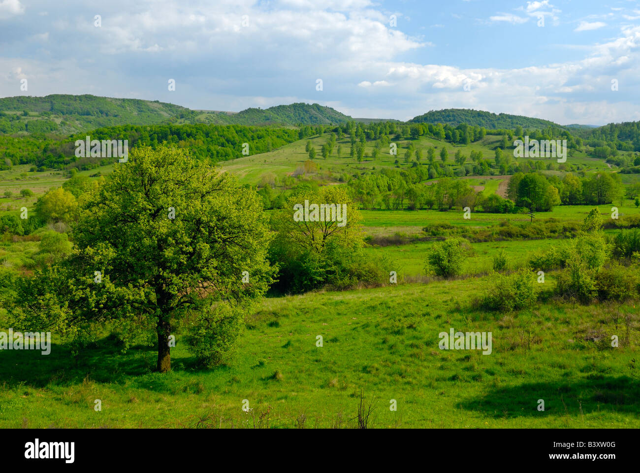 Lush green countryside in Transylvania Romania Stock Photo - Alamy