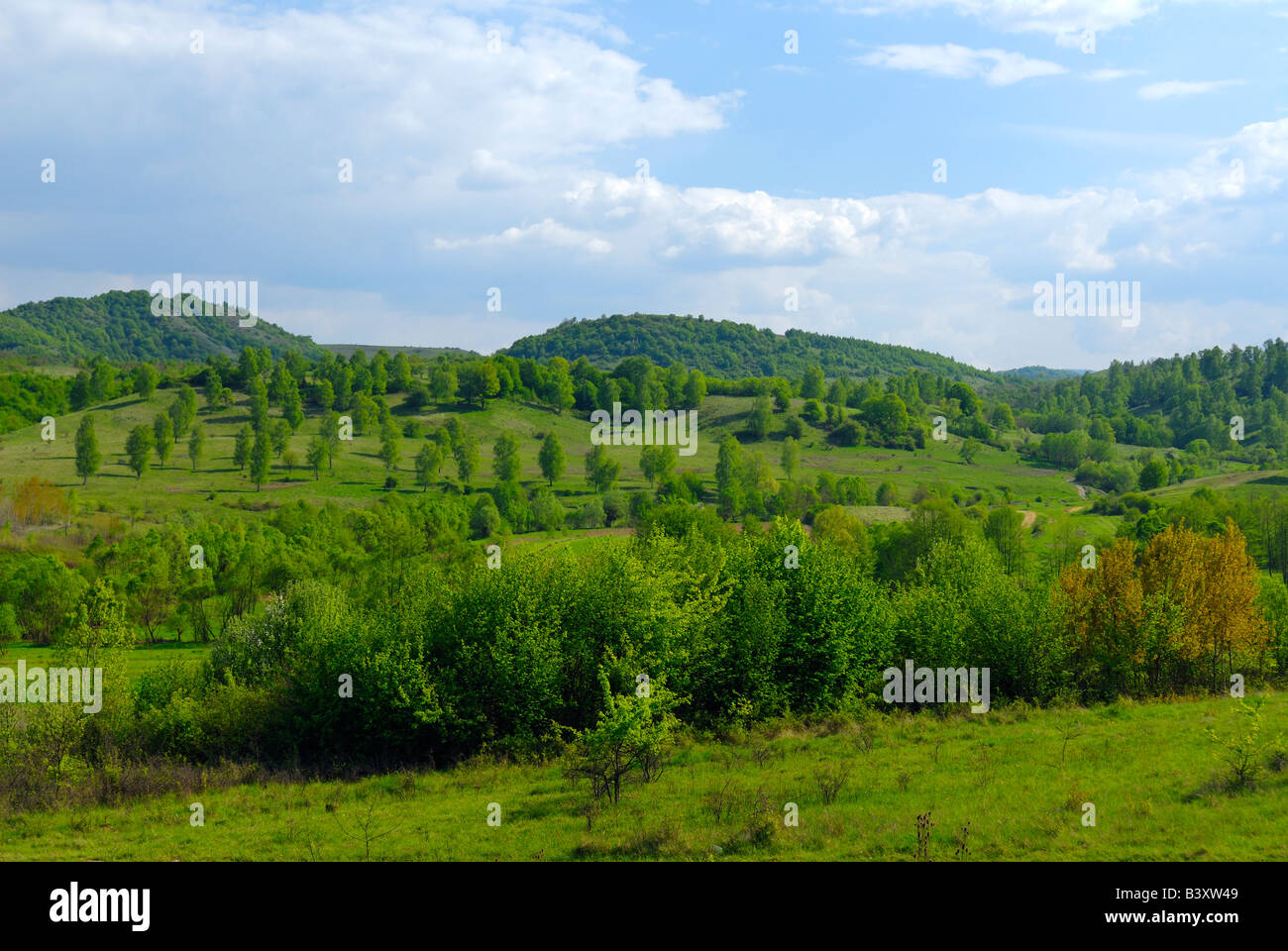 Lush green countryside in Transylvania Romania Stock Photo - Alamy