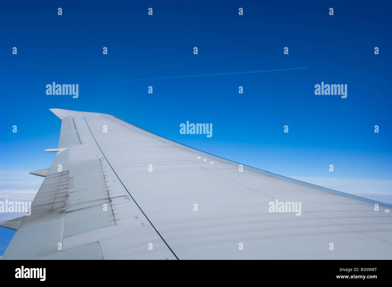 Single wing hi-res stock photography and images - Alamy