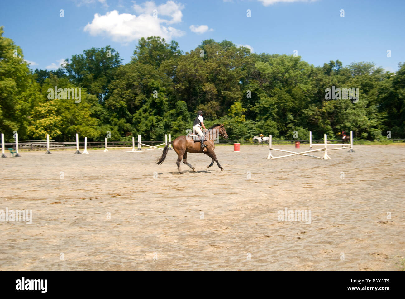 Trotting track hi-res stock photography and images - Alamy