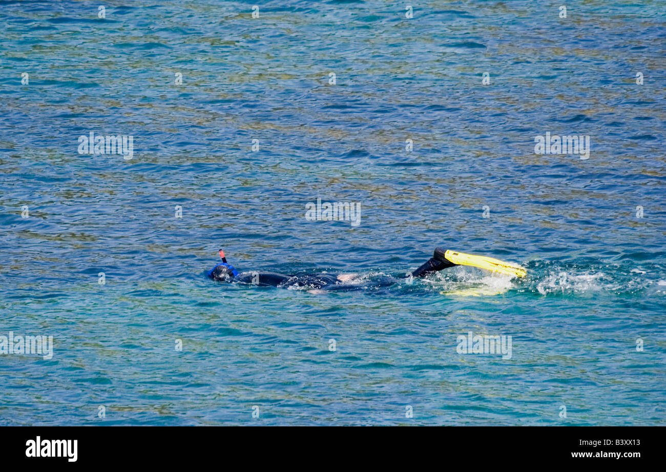man skin diving - french riviera, mediterranean sea Stock Photo - Alamy