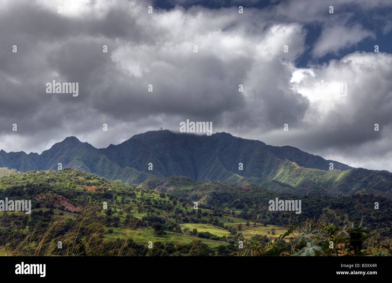 Landscape near Haleiwa Oahu Pacific Ocean Hawaii USA Stock Photo - Alamy