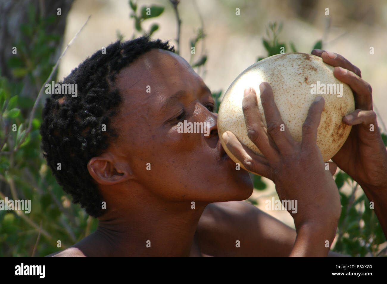 Bushman africa family hi-res stock photography and images - Alamy