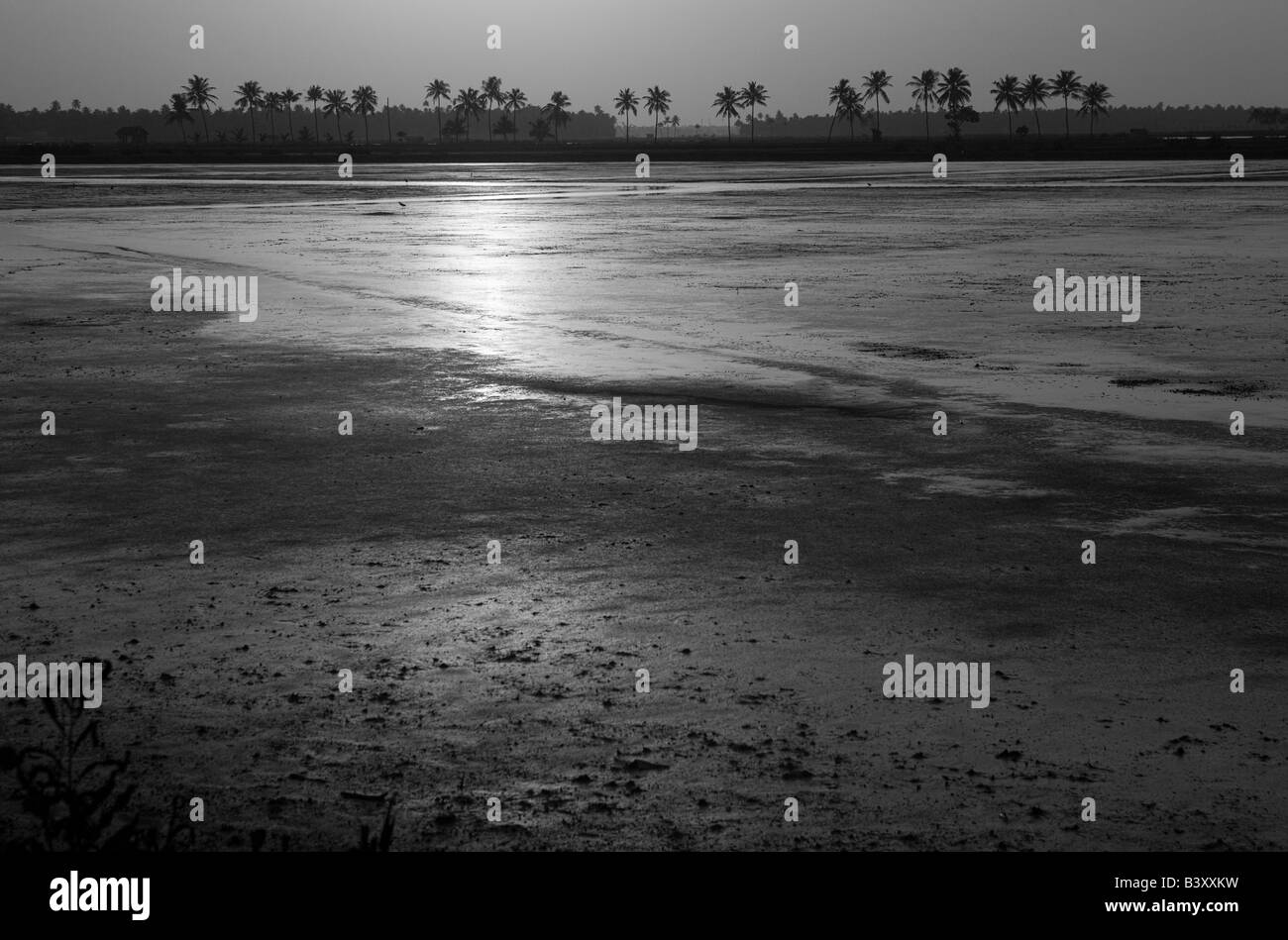 A fallow field basking in the sunset Stock Photo - Alamy