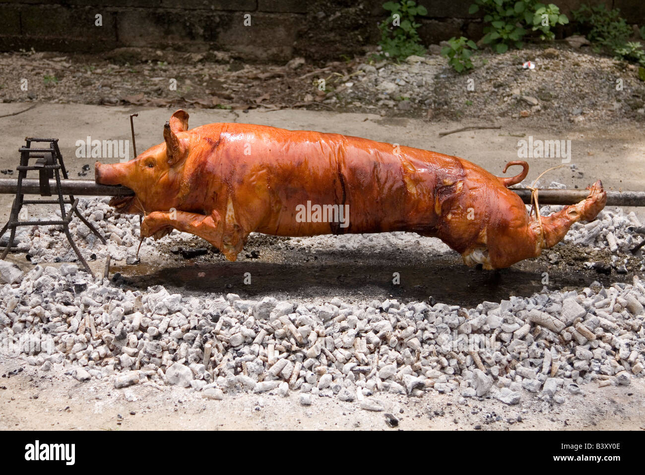 Roasting of pig Stock Photo - Alamy