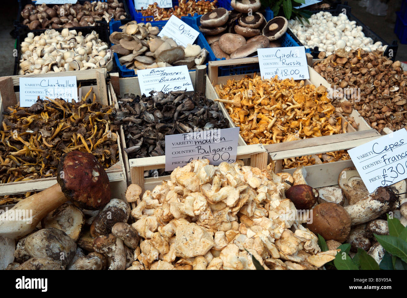 Fungi stall, Borough Market, London Stock Photo - Alamy