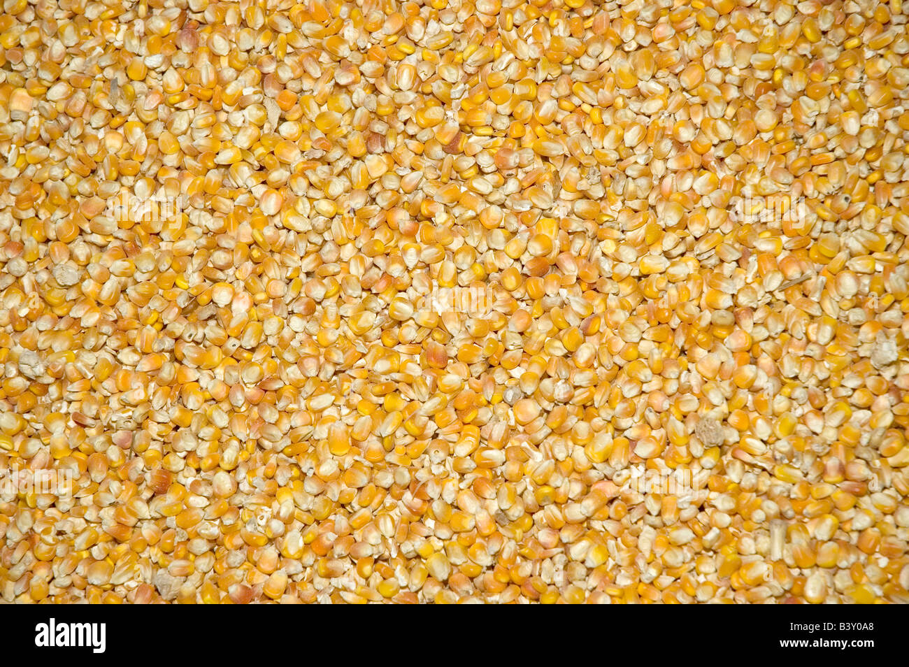 Corn cargo hi-res stock photography and images - Alamy