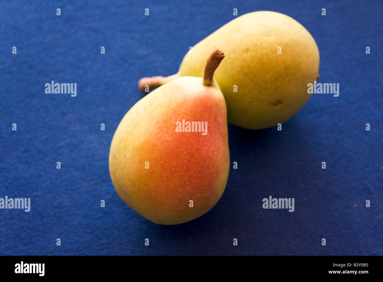 pears on the blue tissue backgropund Stock Photo - Alamy